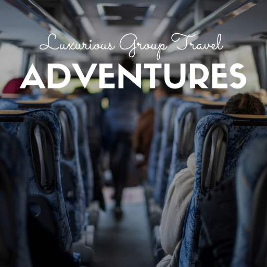Travel Partner - Dynamic Tours | Premier Travel Agency in Pakistan ...